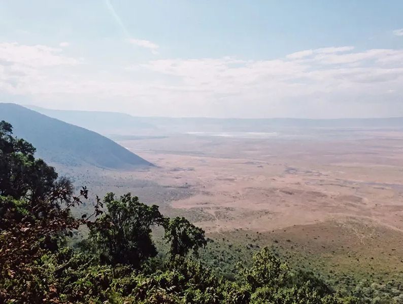 Ngorongoro Crater Safari Guide: Wildlife, Costs & Best Time to Visit ...