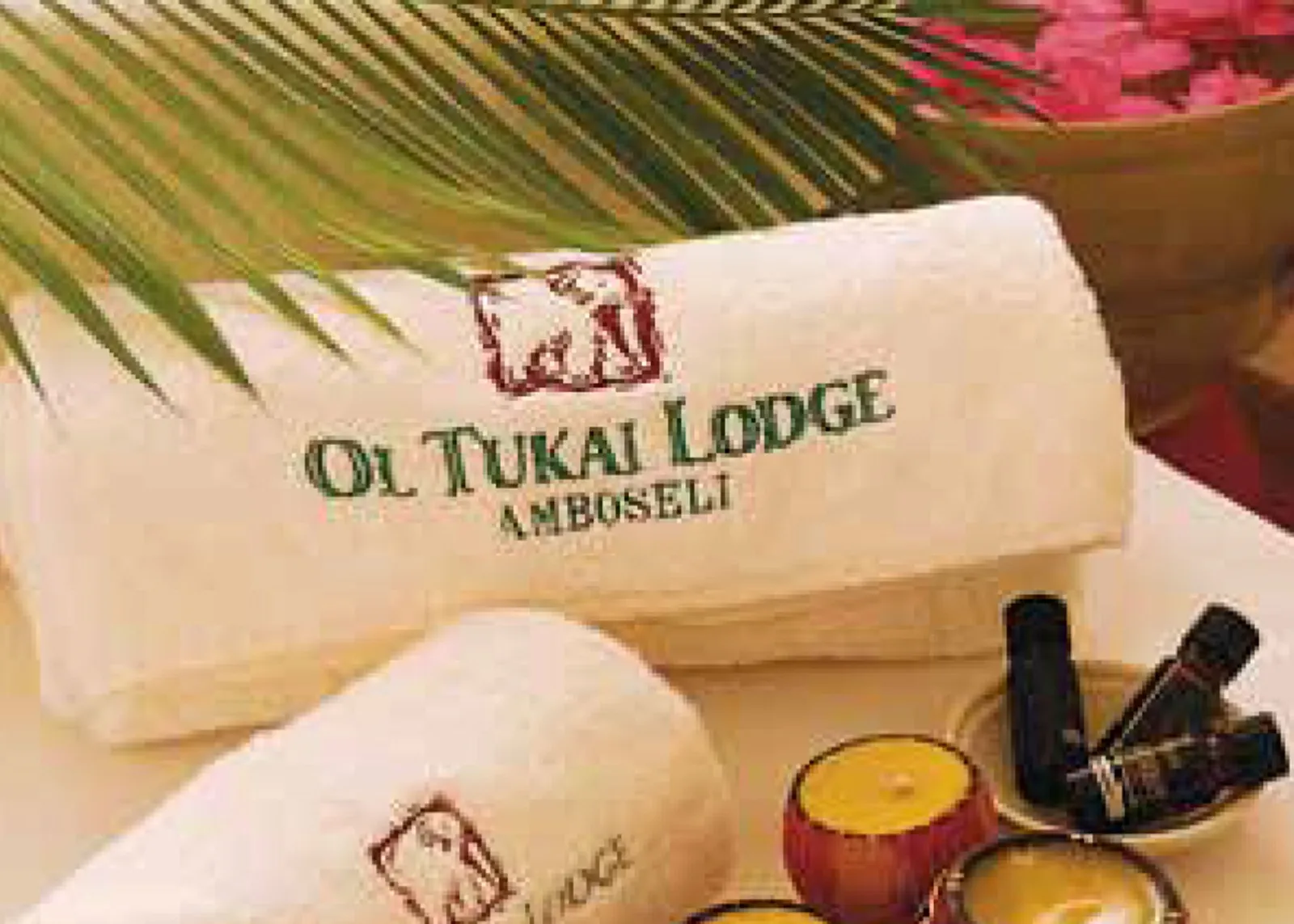 OL TUKAI LODGE AMBOSELI - info-dancomtours - Safari Guide